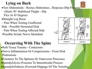 Spine Biomechanics-1.pdf