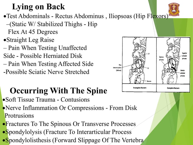 Spine Biomechanics-1.pdf
