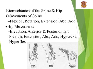 Spine Biomechanics-1.pdf