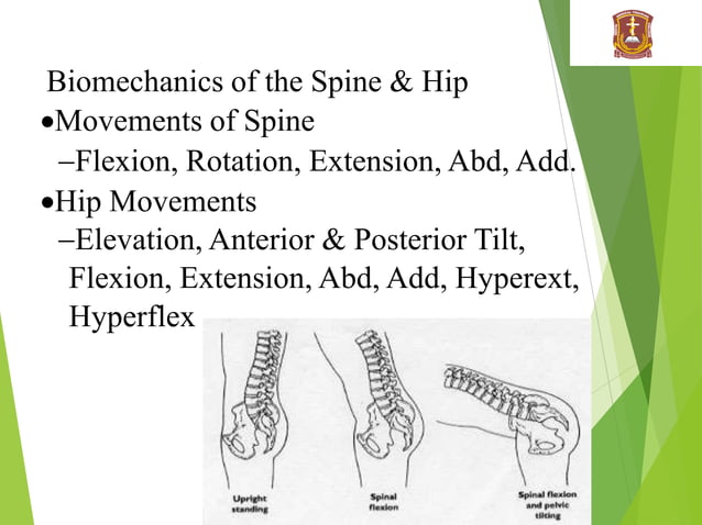 Spine Biomechanics-1.pdf