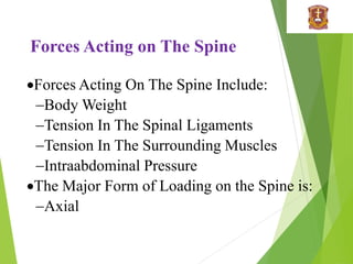 Spine Biomechanics-1.pdf