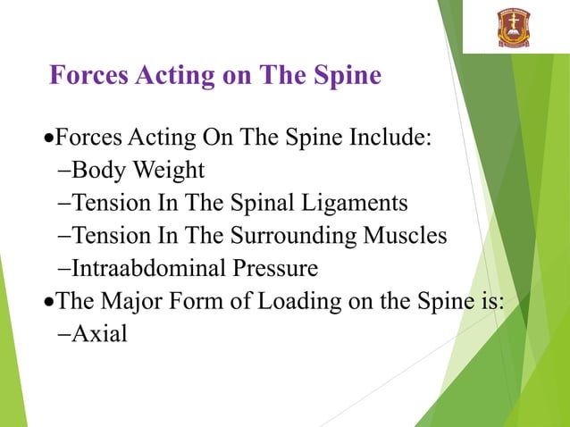 Spine Biomechanics-1.pdf