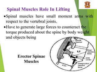 Spine Biomechanics-1.pdf