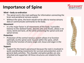 Spine care | PPT