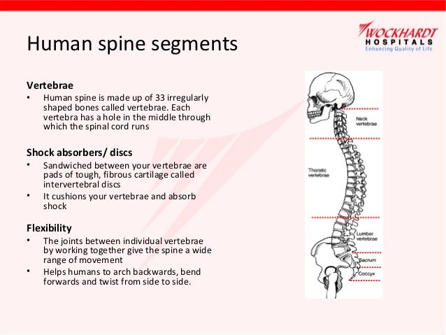 Spine care