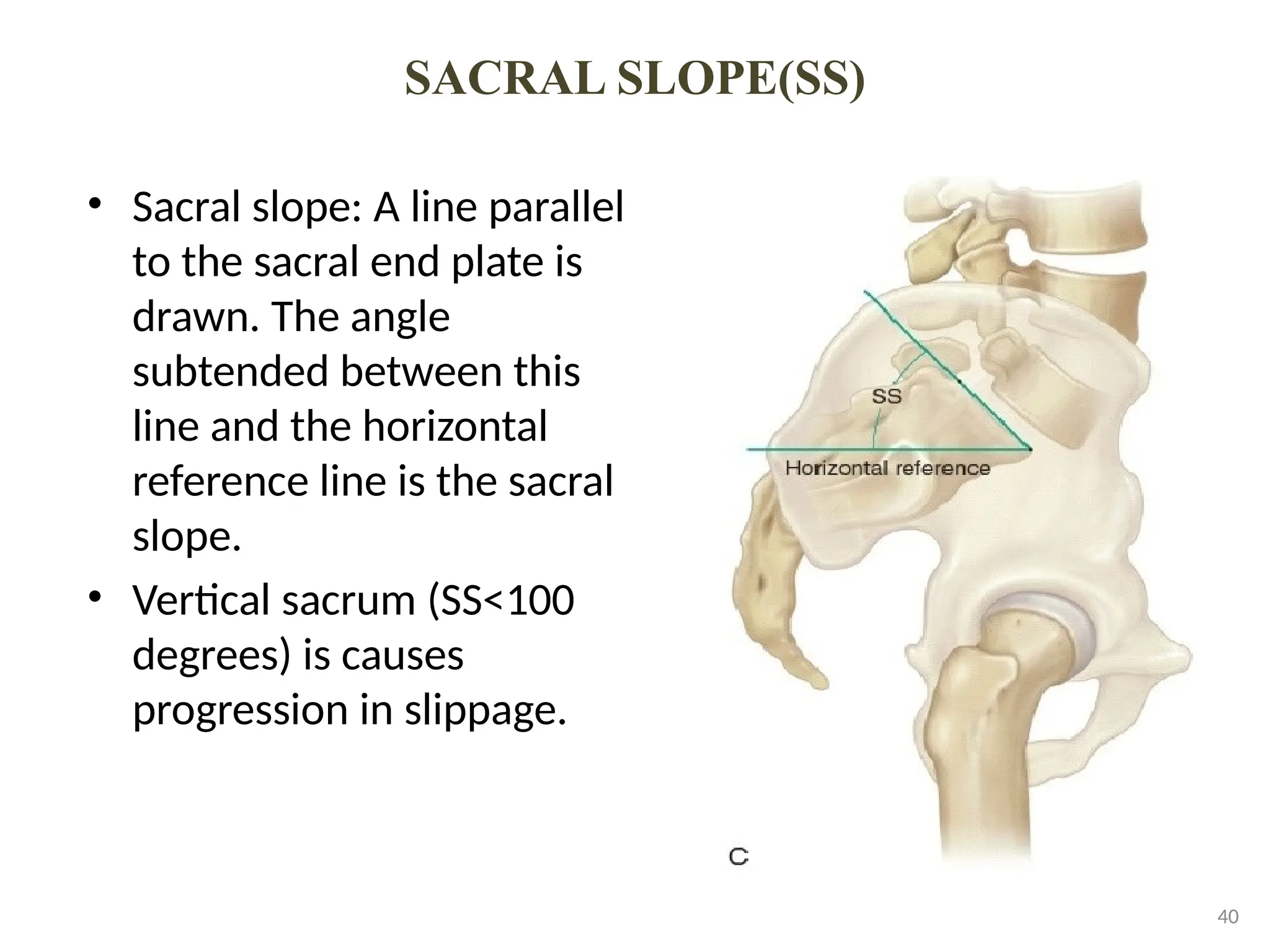 Spine Case presentation.pptxSpine Case presentation.pptx