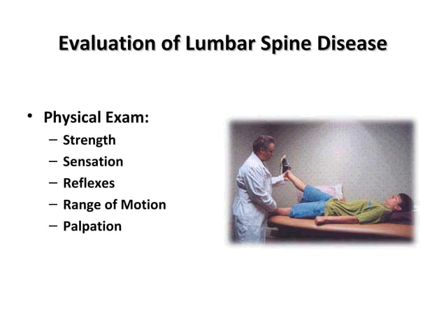 Spine clinical approach (basic spine 2009) | PPT