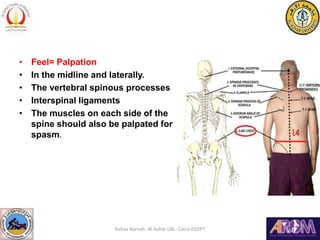 Spine deformities recognition and evaluation | PPT