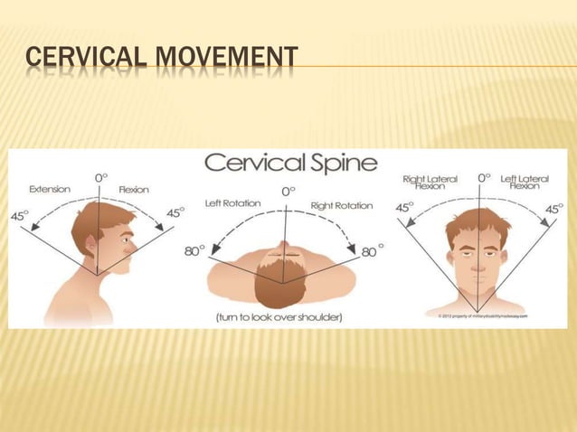 Spine examination | PPT | Free Download