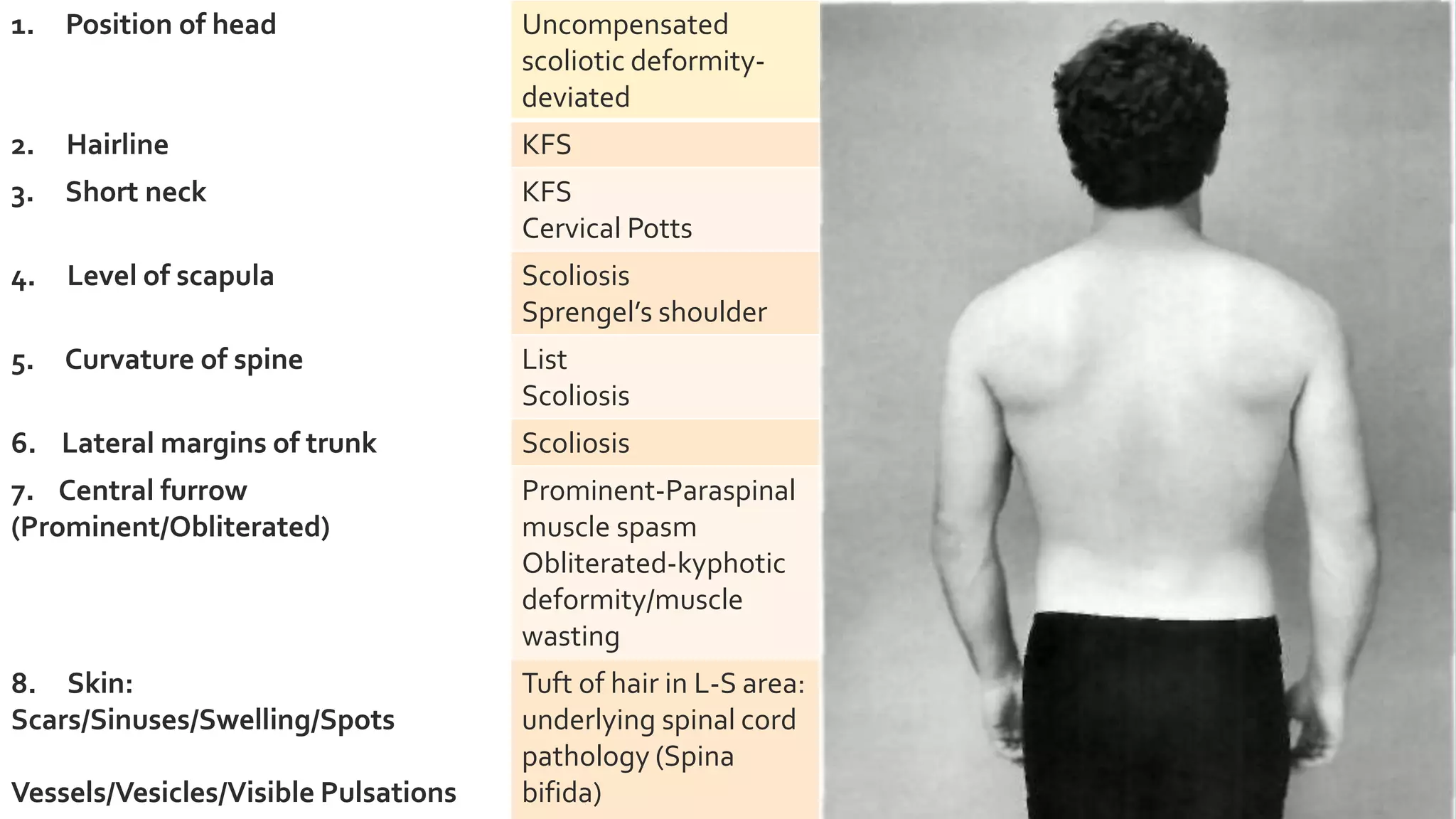 Spine examination- Part 1 | PPTX