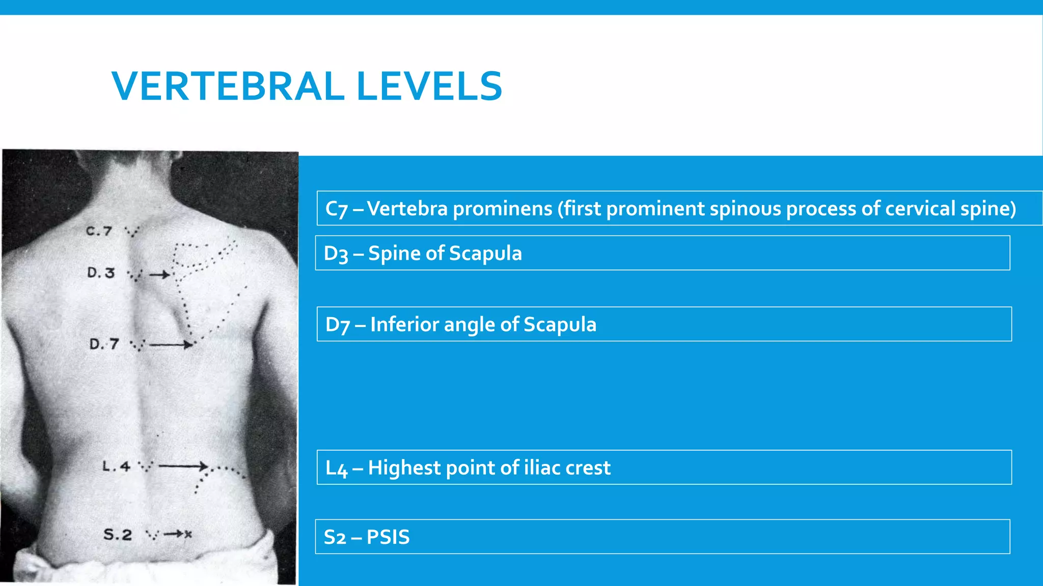 Spine examination- Part 1 | PPTX