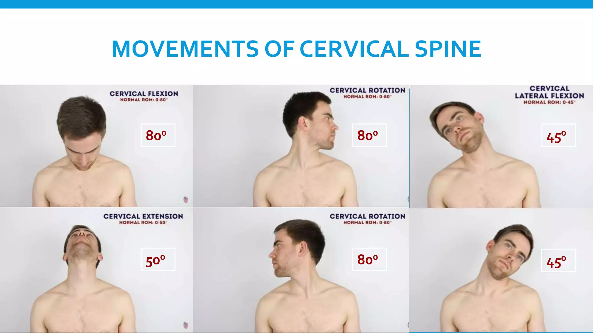 Spine examination- Part 1 | PPTX
