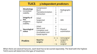 spinefractures-230515204524-720d7473.pptx