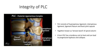 SPINE FRACTURES.pptx