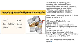 SPINE FRACTURES.pptx