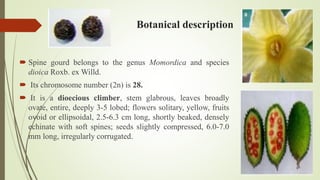 spinegourd-210917071043.pptx