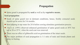 spinegourd-210917071043.pptx