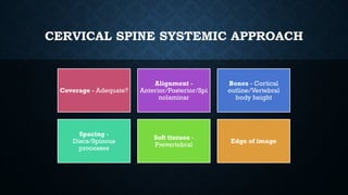 SPINE IMAGING and management essential.pptx
