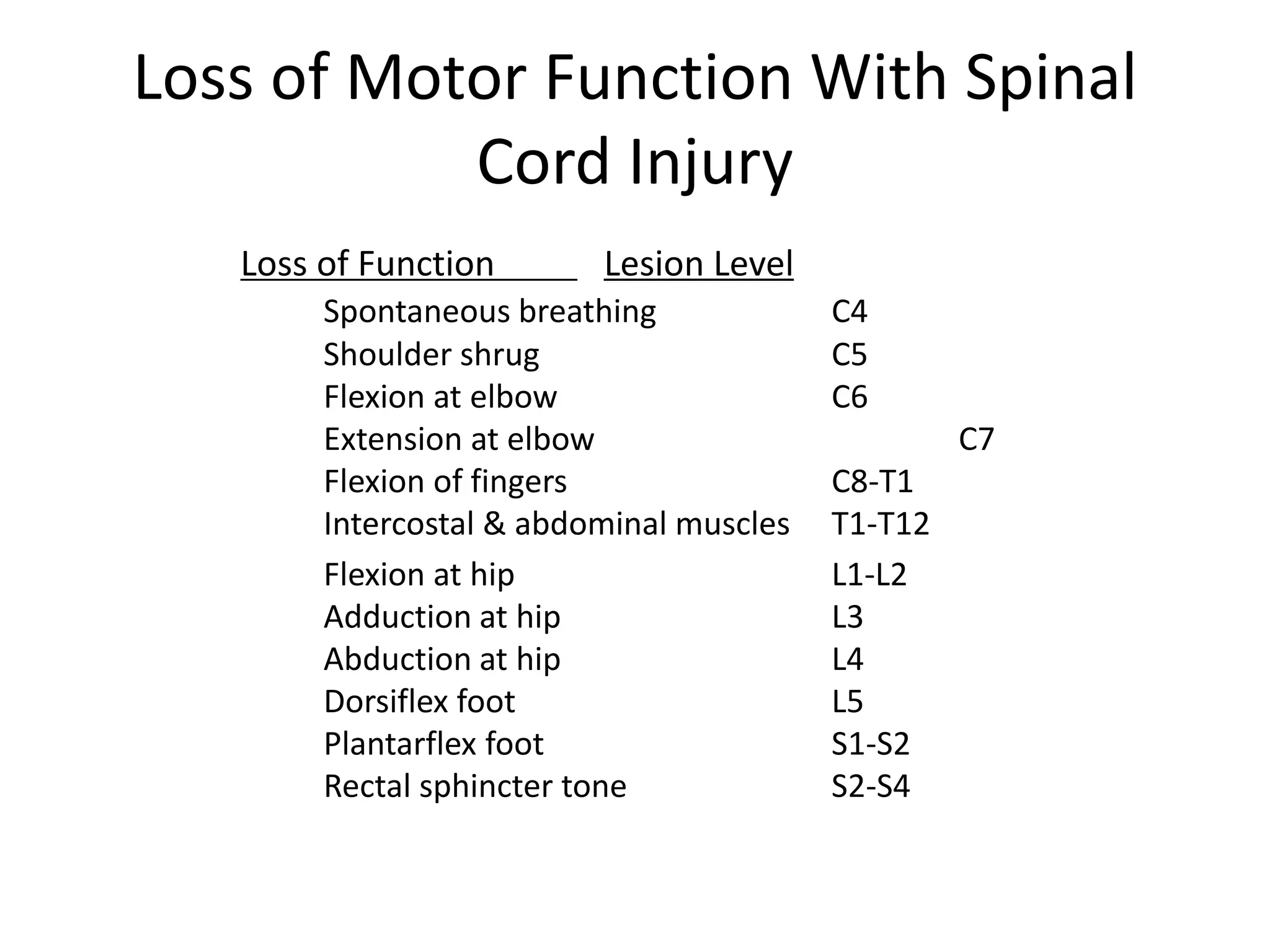 Spine injuries in our daily lifestyle.ppt