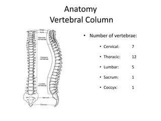 Spine injuries in our daily lifestyle.ppt