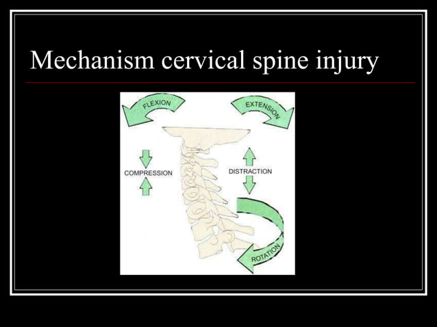 spine Injuries in sports, anatomy, epidemiology, and biomechanic.ppt