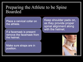 spine Injuries in sports, anatomy, epidemiology, and biomechanic.ppt