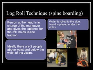 spine Injuries in sports, anatomy, epidemiology, and biomechanic.ppt