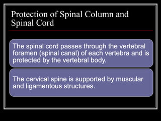spine Injuries in sports, anatomy, epidemiology, and biomechanic.ppt