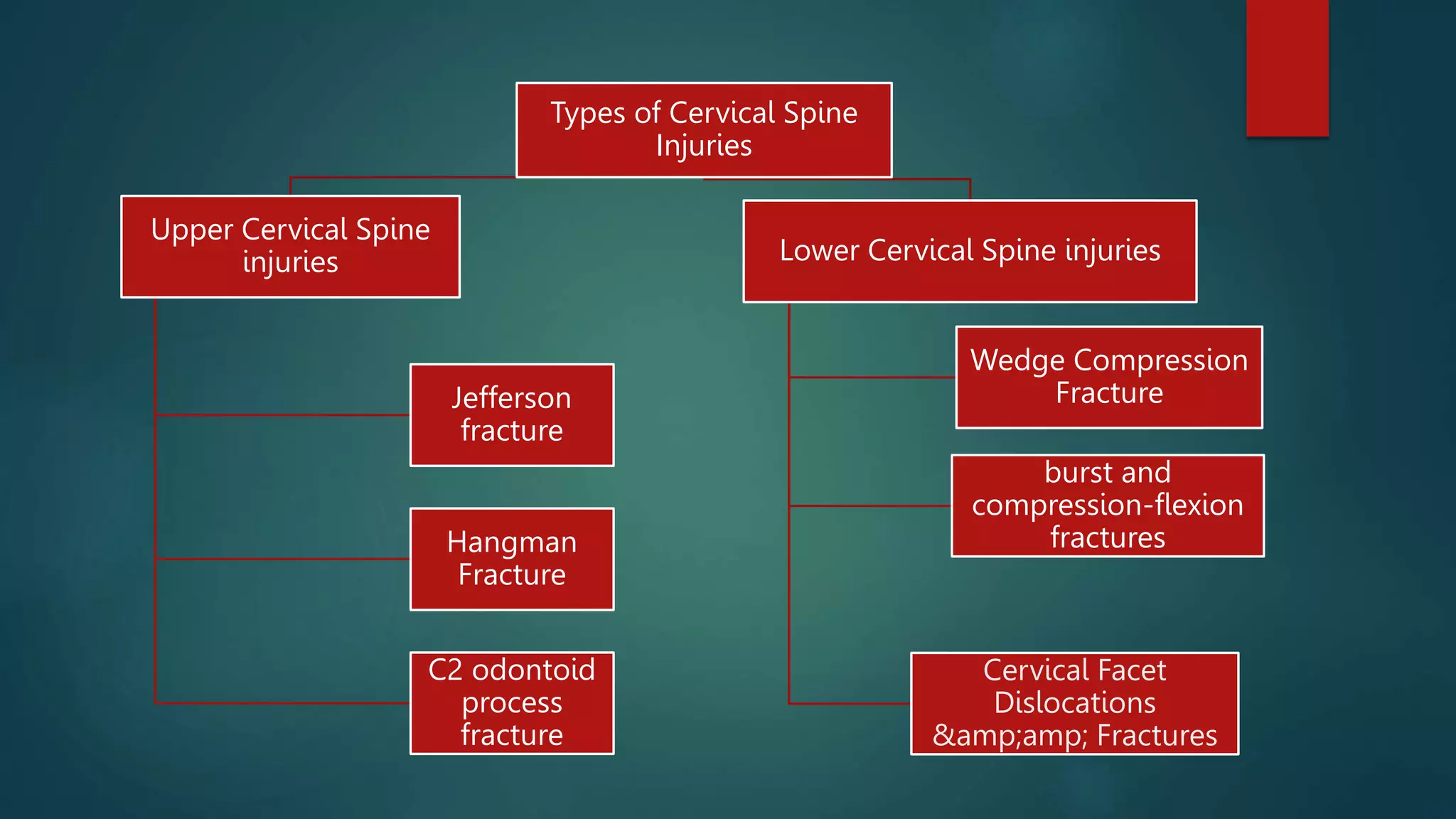 Spine injury -halim.pptx