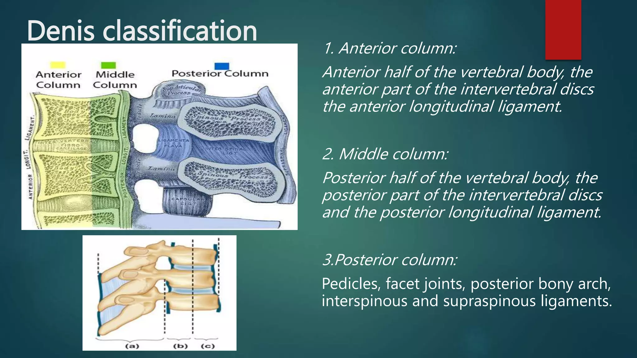 Spine injury -halim.pptx