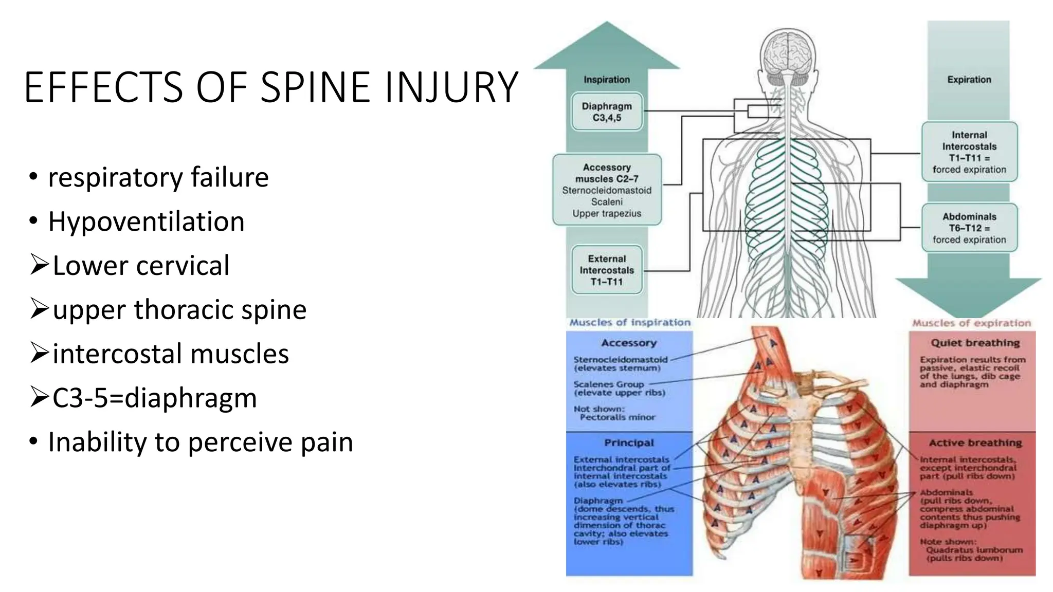 Spine injury according to atls by dr mumtaz ali narejo.pptx