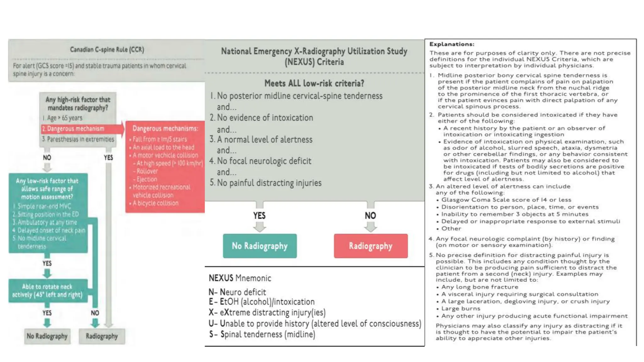 Spine injury according to atls by dr mumtaz ali narejo.pptx