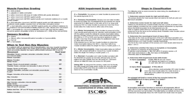 Spine injury according to atls by dr mumtaz ali narejo.pptx | Death ...