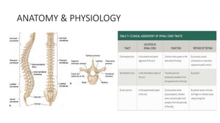 Spine injury according to atls by dr mumtaz ali narejo.pptx | Death ...
