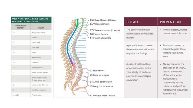 Spine injury according to atls by dr mumtaz ali narejo.pptx | Death ...
