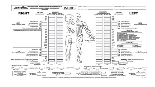 Spine injury according to atls by dr mumtaz ali narejo.pptx | Death ...