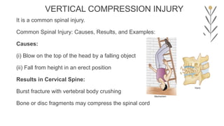 SPINE INJURY MECHANISM AND THEIR CLINICAL FEARURES | PPTX