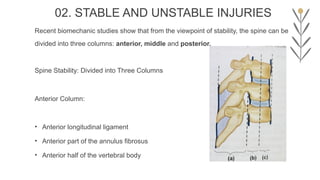 SPINE INJURY MECHANISM AND THEIR CLINICAL FEARURES | PPT