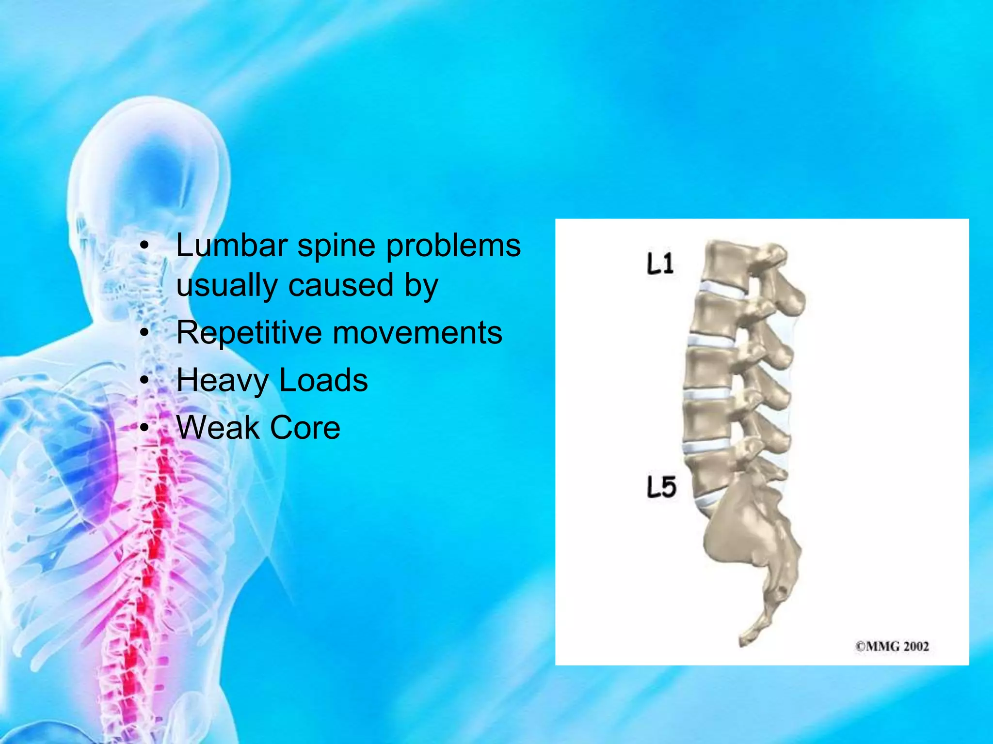 Spine Powerpoint.ppt