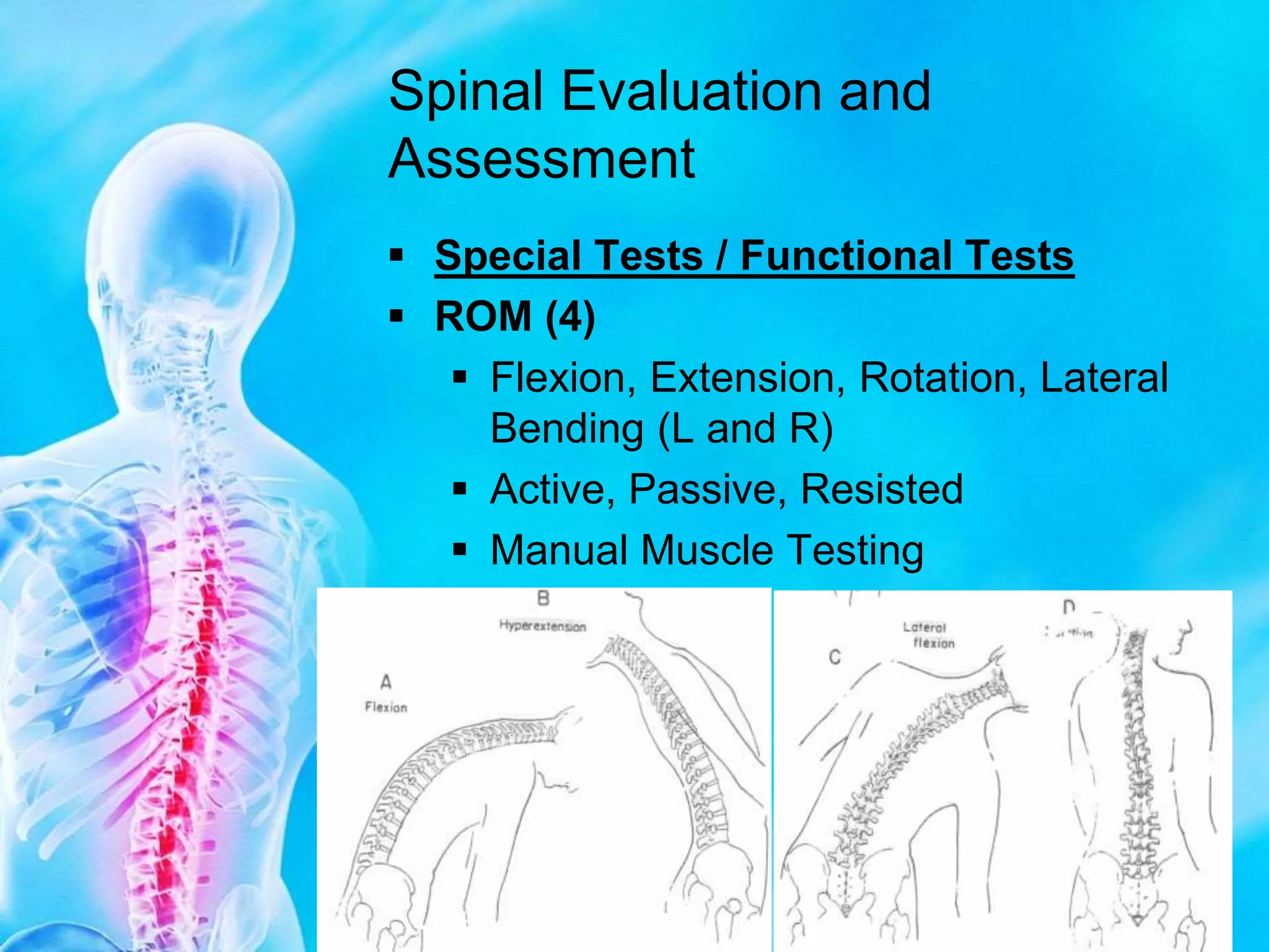 Spine Powerpoint.ppt