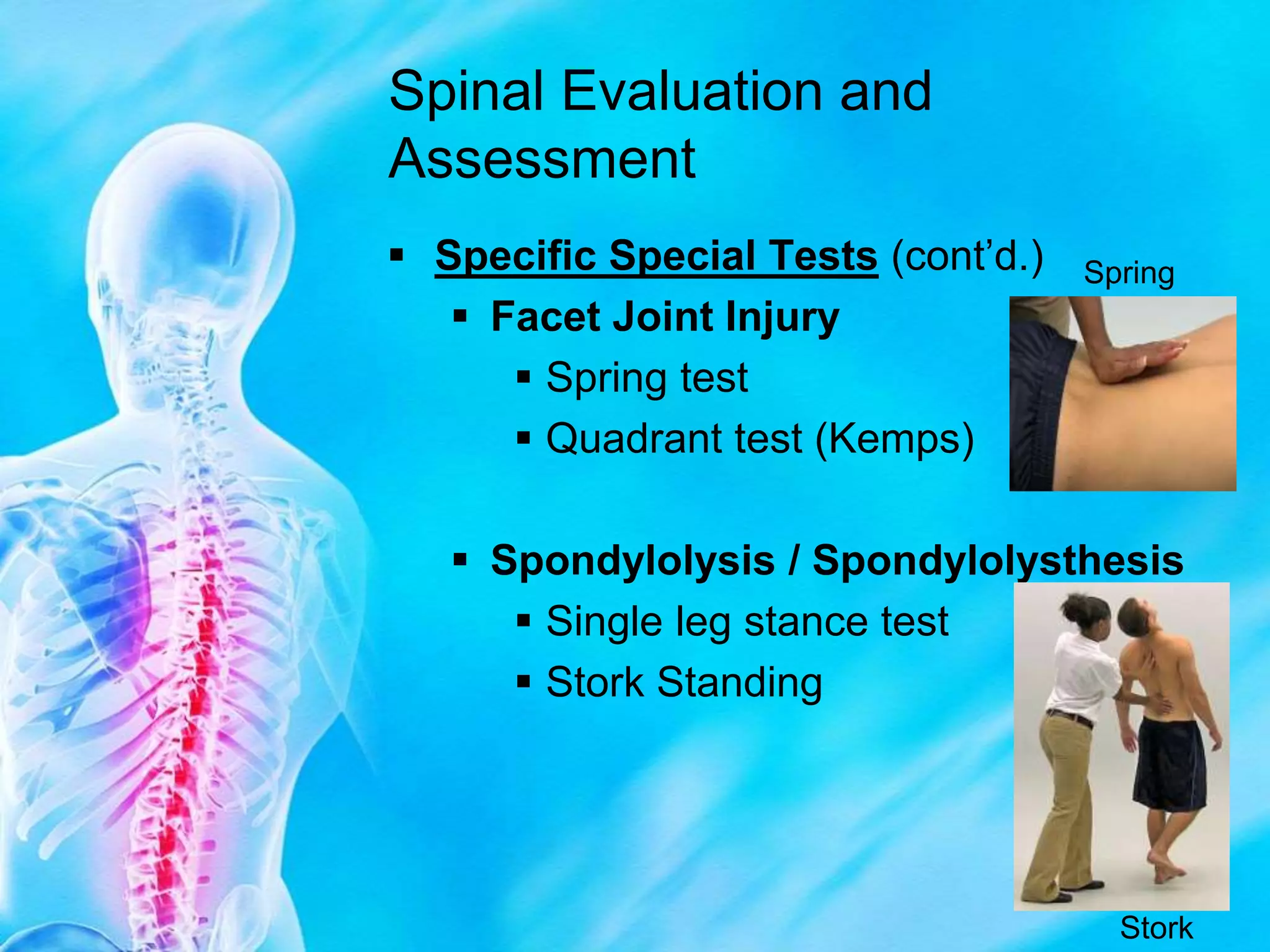 Spine Powerpoint.ppt