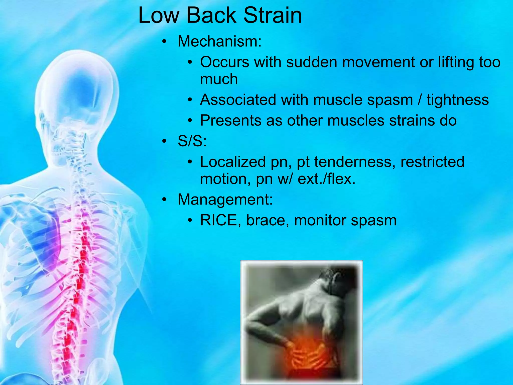 Spine Powerpoint.ppt
