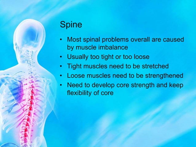 Spine Powerpoint.ppt