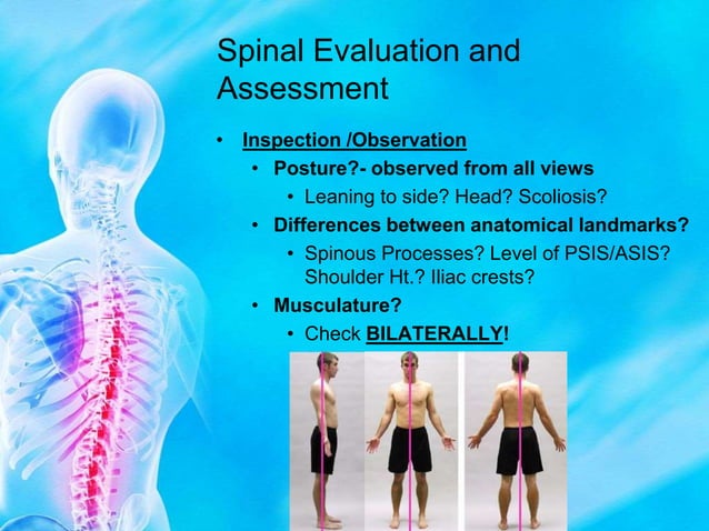 Spine Powerpoint.ppt