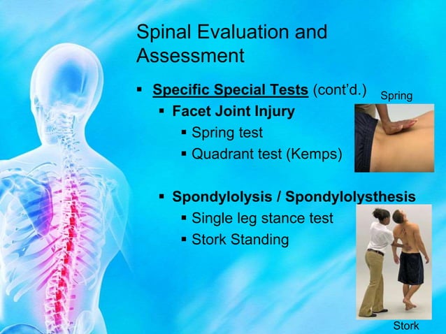 Spine Powerpoint.ppt
