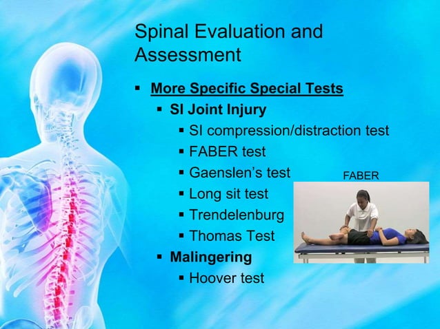 Spine Powerpoint.ppt