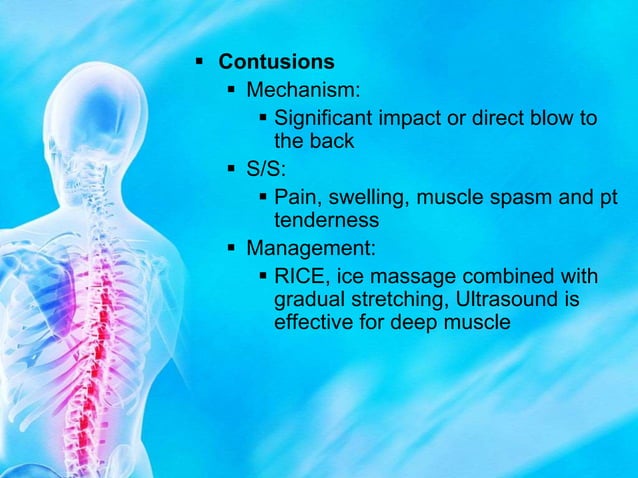 Spine Powerpoint.ppt