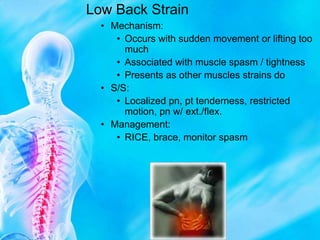 Spine Powerpoint.ppt