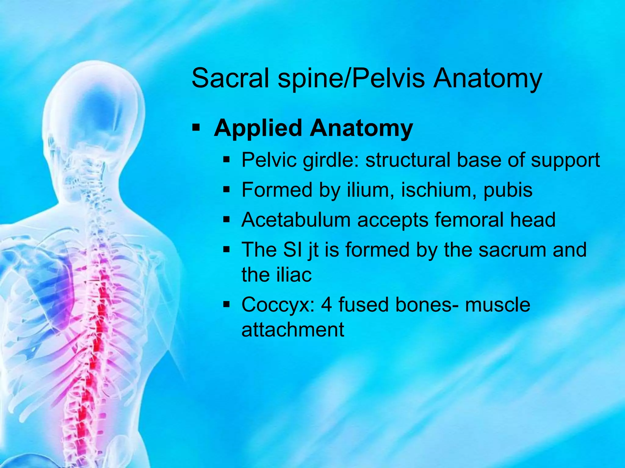 Spine Powerpoint.ppt