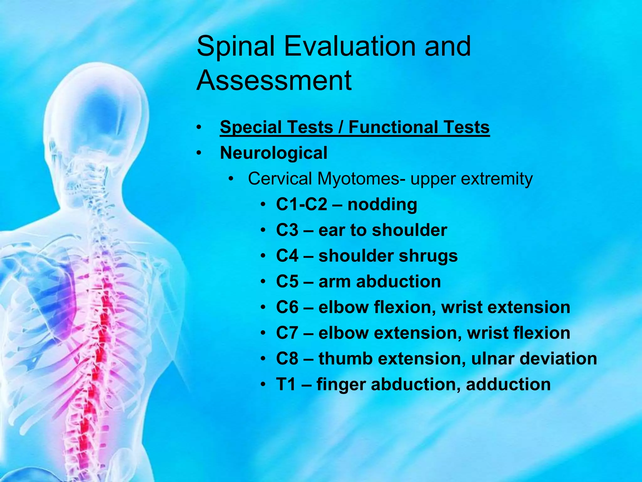 Spine Powerpoint.ppt